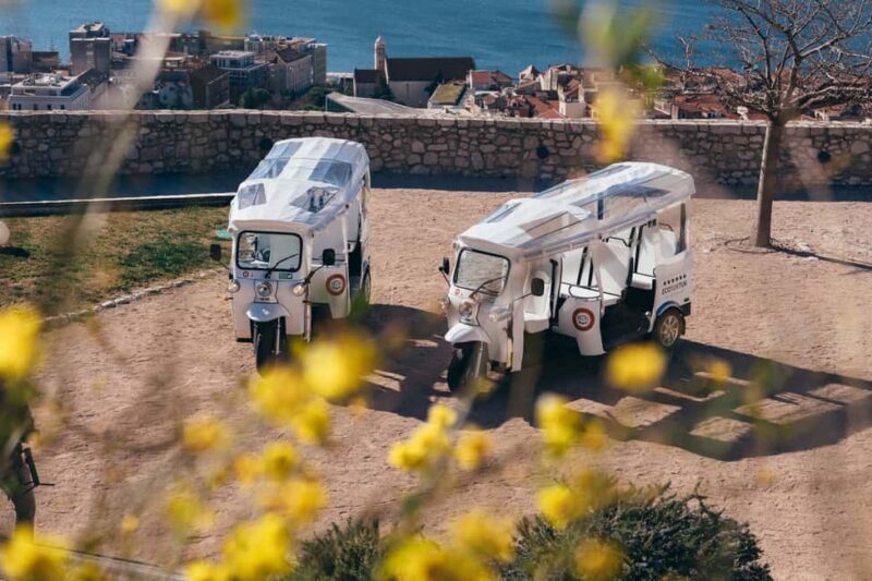 ibenik: 3 hours City&wine tour, tasting and fortresses inc - Authentic Insights from Reviews