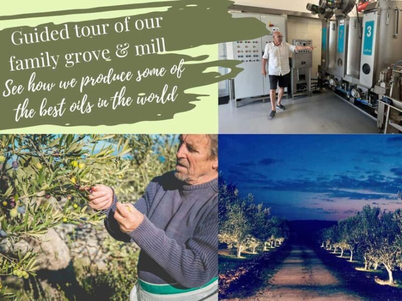 ibenik: Croatia in a Day, Vistas, History, Olive Oil, Wine - FAQ