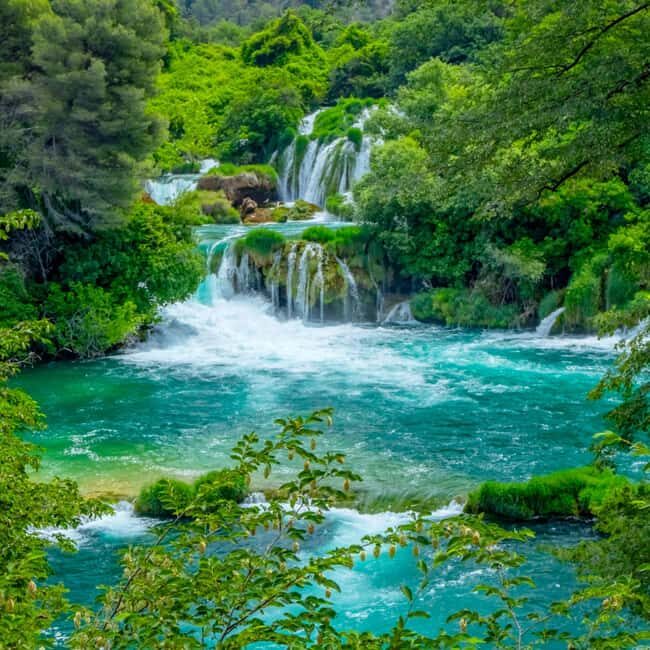 ibenik or Zadar: Krka falls, olive mill, oil & wine tasting - Analyzing the Value and Practicalities