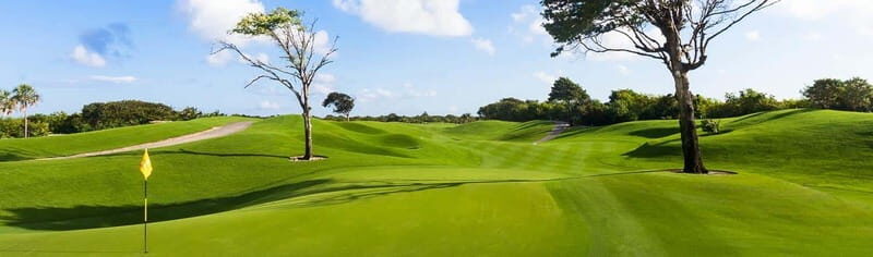 Iberostar Playa Paraiso Golf Club | Tee time Riviera Maya - Key Points