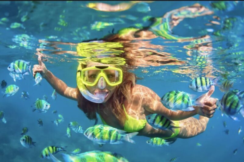 Ibiza: Beach and Cave Snorkeling Tour by Boat - The Sum Up