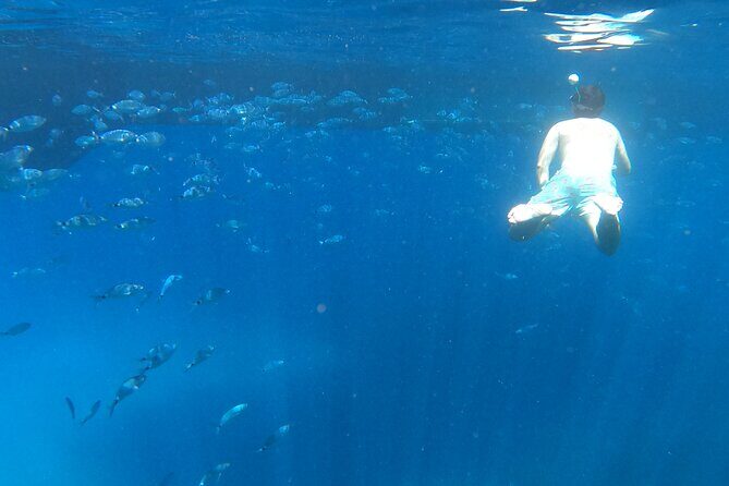 Ibiza: Es Vedrà Catamaran Cruise  Morning or Sunset - What Travelers Are Saying