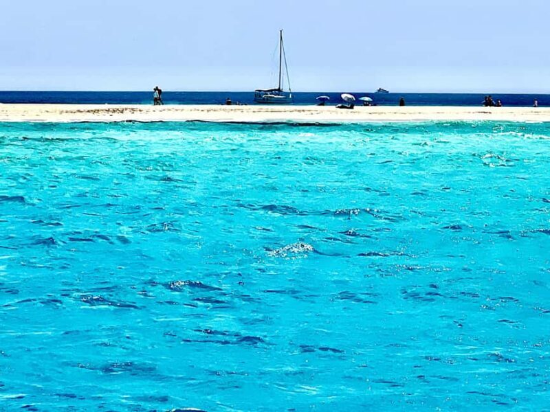 IBIZA excursión marítima Illetas con paella y bebidas - Returning to Ibiza