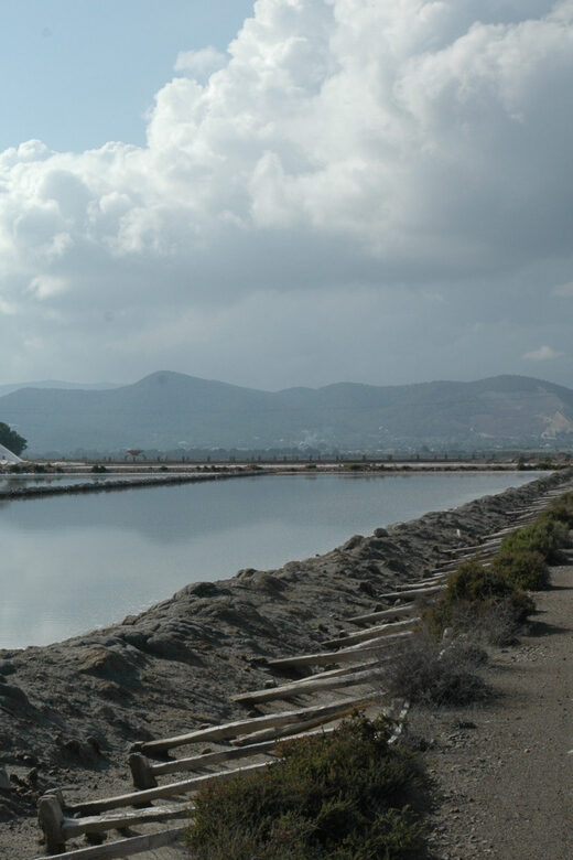 Ibiza: Full-Day Excursion and Visit to a Hippy Market - Authenticity and Value from a Traveler’s Perspective