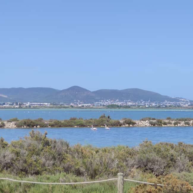 Ibiza: Salt Beds, Es Vedra & Time and Space Half-Day Tour - FAQs