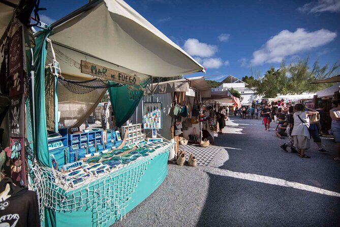 Ibiza Tour Island Bus Tour with Hippie Market Visit - Who Should Book This Tour?