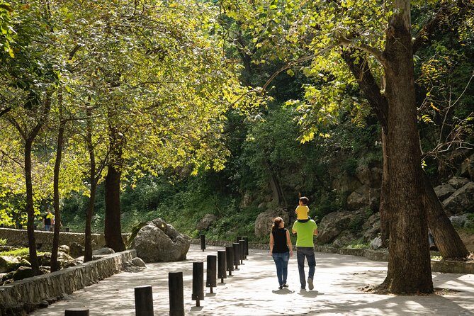 IBO Total Adrenaline in Cola de Caballo - Canopy Forest Tour & Additional Activities