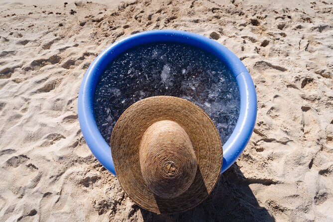 Ice Bath Experience on the Beach - Key Points