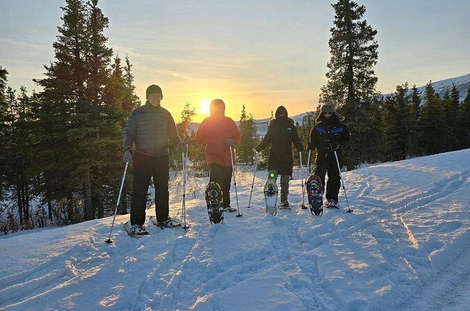 Ice Fishing and Aurora Extravaganza - The Itinerary Breakdown: What to Expect