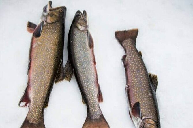 Ice fishing - A Practical Guide to Quebec’s Ice Fishing Tour