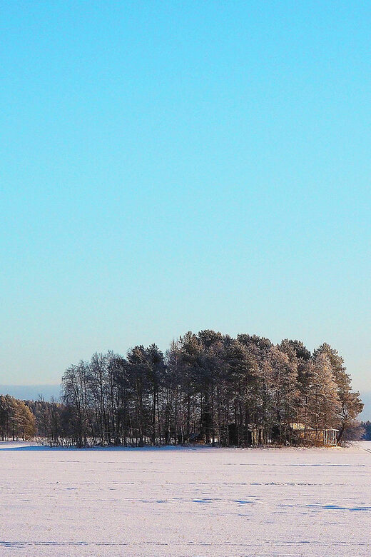 Ice fishing program in Lapland - The Experience: What You’ll Appreciate Most