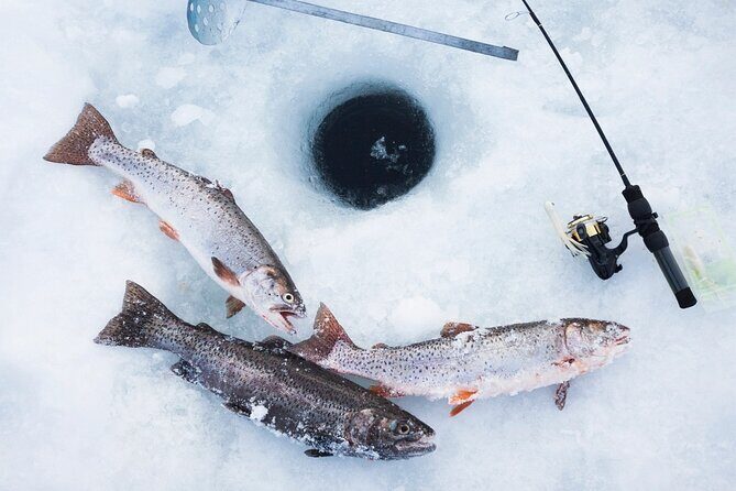 Ice Fishing Tour from Fairbanks - Exploring the Ice Fishing Tour from Fairbanks: An Authentic Alaskan Winter Experience