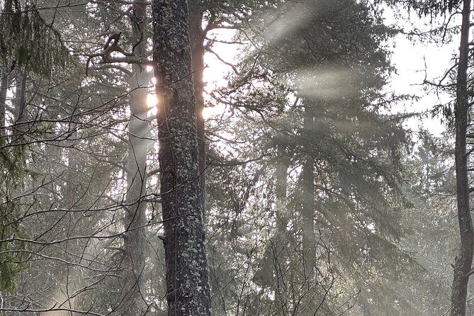 Icebathing and Sauna, Forest Hike and Fireplace Lunch - Private - Final Thoughts