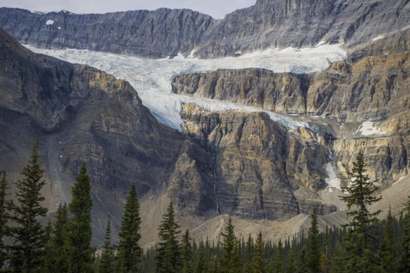 Icefield: Bow Lake, Columbia Icefield, Peyto Lake Day Tour - Who Will Love This Tour?