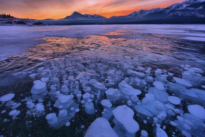 Icefields Parkway & Ice Bubbles of Abraham Lake Adventure - Comfort and Convenience
