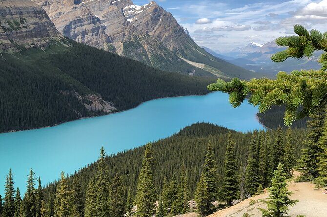 Icefields Pkwy: Lake Louise | Bow | Peyto|Glacier - PRIVATE TOUR - FAQ