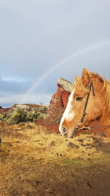 Iceland: Volcanic Landscape Horse Riding Tour - An Authentic Ride through Iceland’s Volcanic Terrain