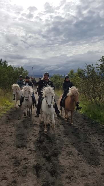 Iceland: Volcanic Landscape Horse Riding Tour - What Travelers Say: Honest Feedback