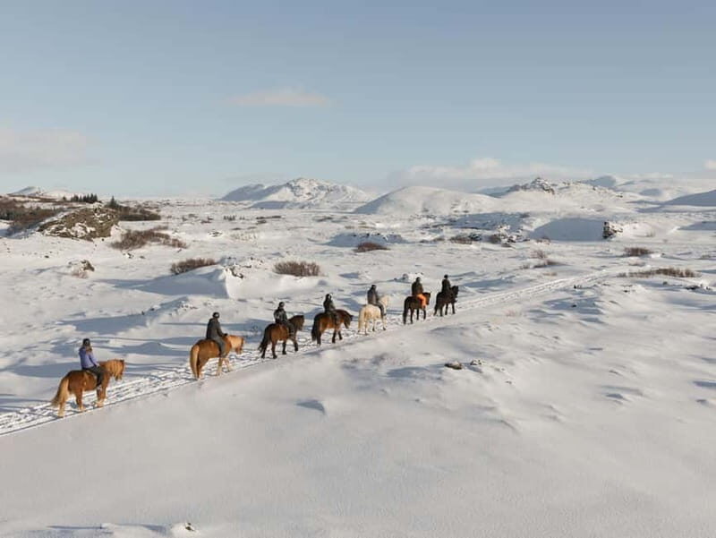 Icelandic Horse Riding Tour & Pickup Option from Reykjavik - The Experience in a Nutshell