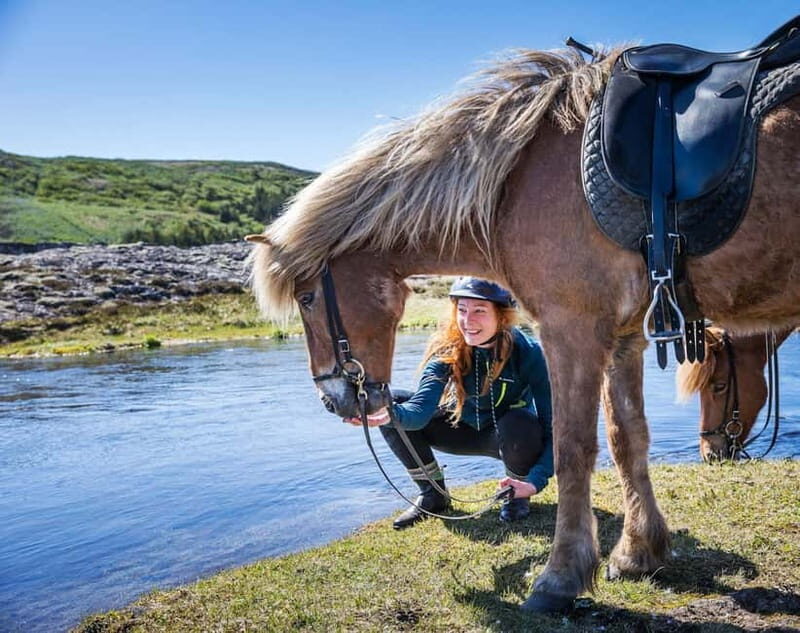 Icelandic Horse Riding Tour & Pickup Option from Reykjavik - Key Points
