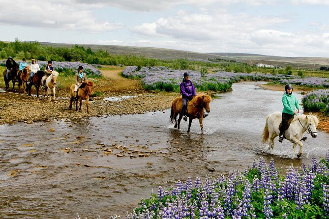 Icelandic Horseback Riding Tour Including Pick Up from Reykjavik - Final Thoughts