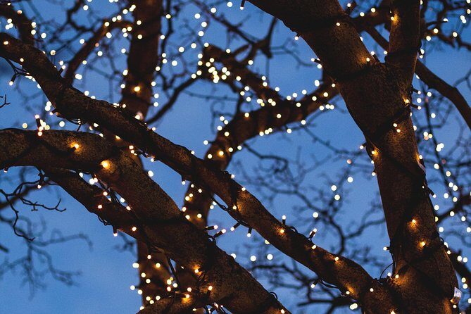 Iceland's Christmas Myths and Traditions - Reykjavík walking tour - The Sum Up