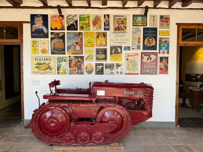 Icod de los Vinos: Casa del Plátano Entry Ticket - Exploring Icod de los Vinos: Casa del Plátano Entry Ticket