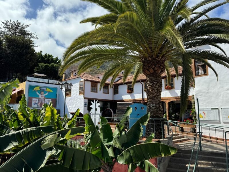 Icod de los Vinos: Casa del Plátano Entry Ticket - Practical Tips for Visiting