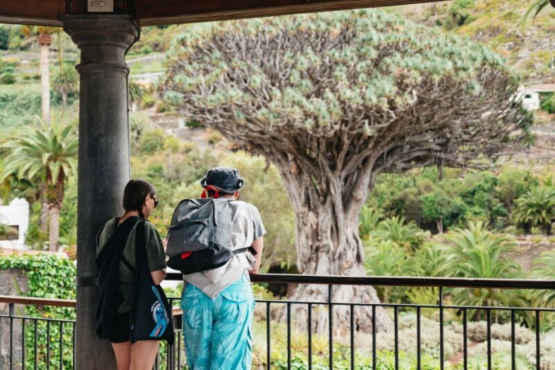 Icod de los Vinos: Dragon Tree & Botanical Garden Ticket - FAQ