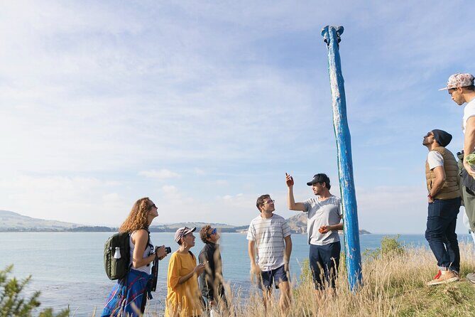 Iconic Dunedin Coastal Tour by Minibus with Maori Cultural Walk - Exploring Dunedin’s Coast and Culture: An Honest Review of the Iconic Dunedin Coastal Tour by Minibus