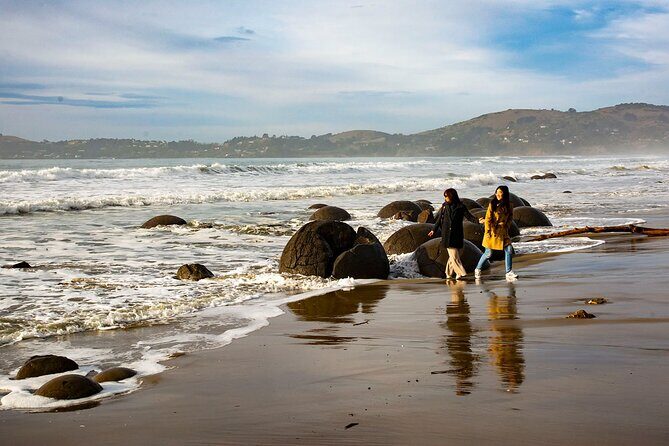 Iconic Dunedin Coastal Tour by Minibus with Maori Cultural Walk - FAQ
