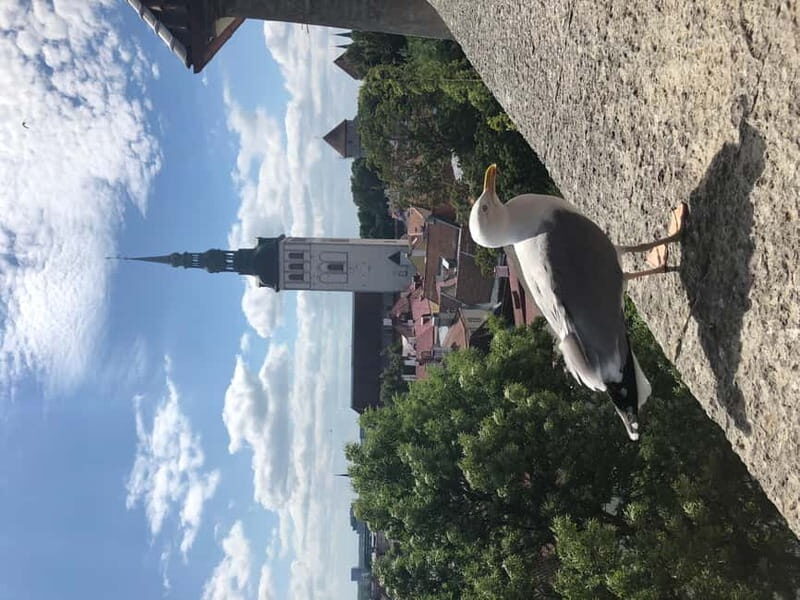 Iconic Old town Tallinn - Who is This Tour Best For?