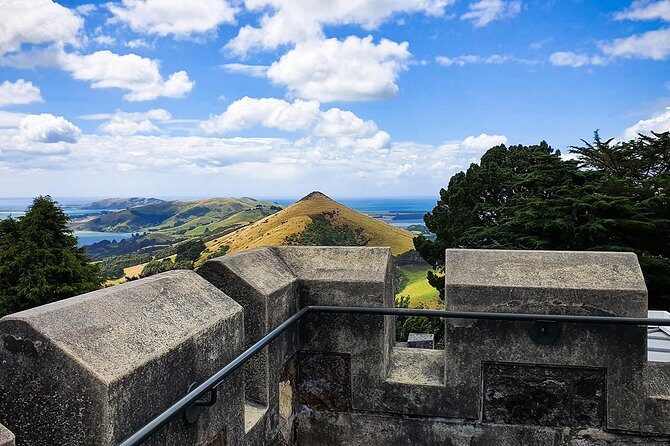 Iconic Shore Excursion: Iconic Larnach Castle Tour - Practical Details & Value