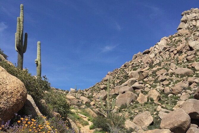 Iconic Tom's Thumb Guided Hiking Adventure in Scottsdale, Arizona - Key Points