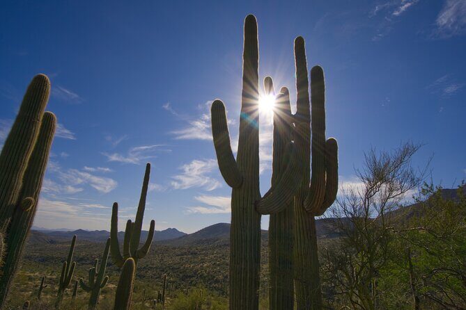 Iconic Tom's Thumb Guided Hiking Adventure in Scottsdale, Arizona - Practical Tips for Your Hike