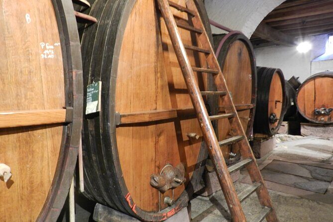 ICONICS Tour: 1/2 day on the Wine Route, visit of 2 Villages + Tasting. - Who Will Love This Tour?