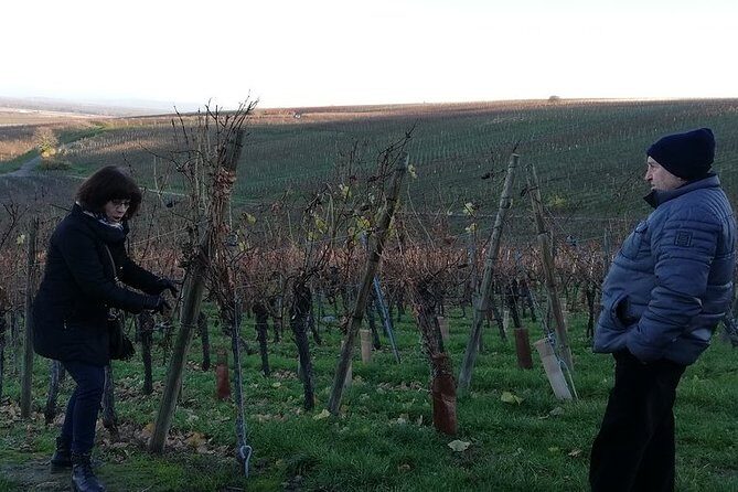 ICONICS Tour: 1/2 day on the Wine Route, visit of 2 Villages + Tasting. - FAQ: Common Questions