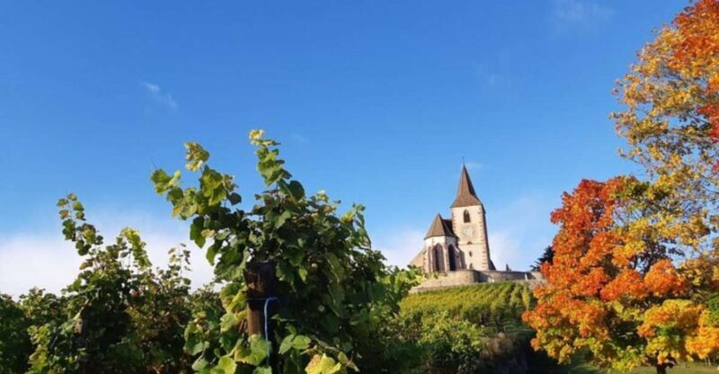 Iconics Typical villages & Haut Koenigsbourg castle - Key Points