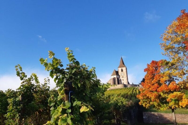 Iconics Typical villages & Haut Koenigsbourg castle - Introduction: Your Day in Alsace, Packed with Charm and History
