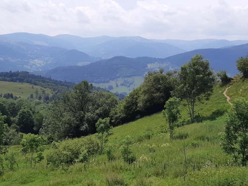 Iconics Typical villages & Haut Koenigsbourg castle - What Past Travelers Say