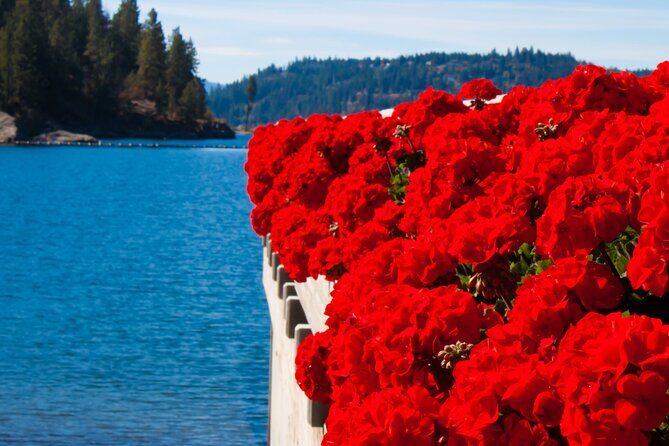 Idaho Wildlife Museum Rydables Guided Tour - FAQ