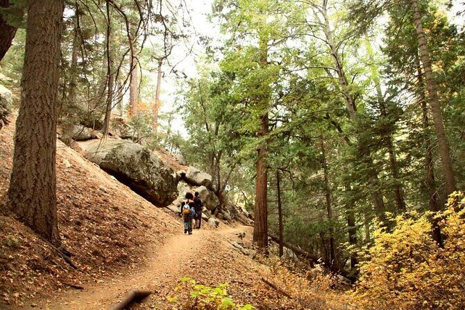 Idyllwild Day Tour - Key Points:
