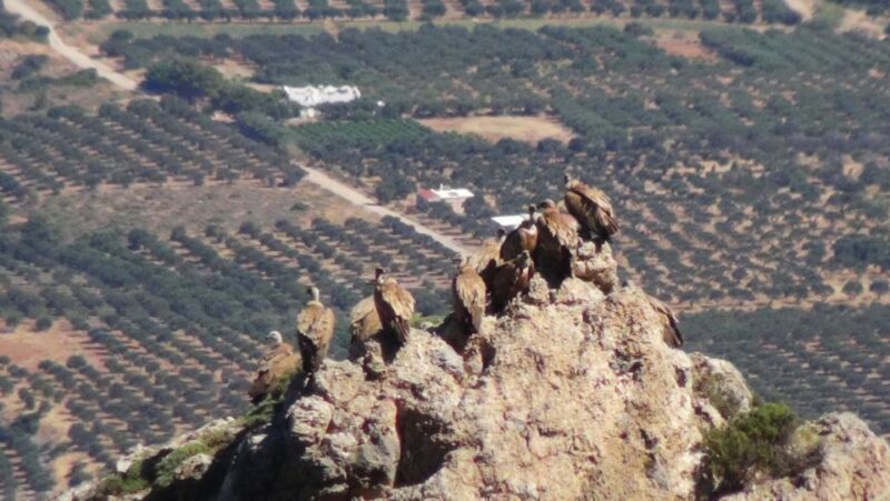 Ierapetra: Eastern Crete Nature Jeep Driving Tour - Final Thoughts