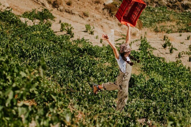 Ikaria Longevity, Family Winery & Wellness - FAQs