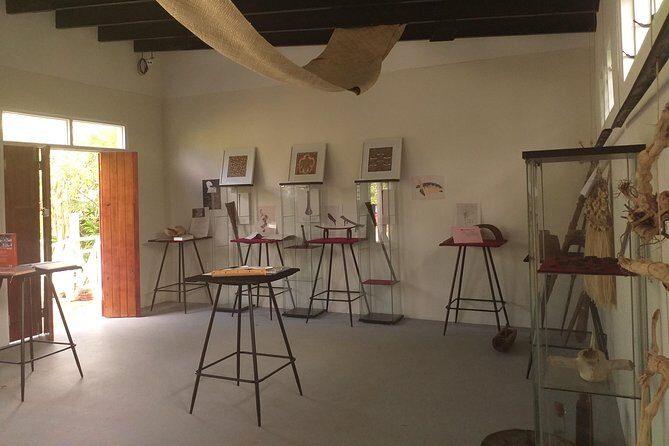 'Ilaheva Private Museum Tour with Tongan Medicine & Tongan Beauty Product - Key Points