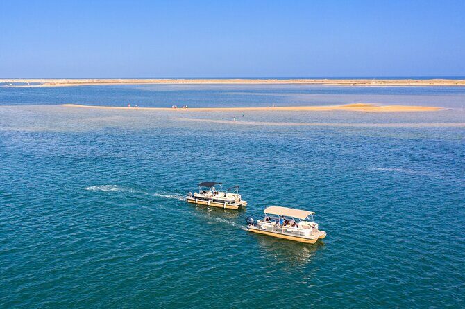 Ilha Deserta and Farol Island: a small group boat trip in Ria Formosa from Faro - What to Expect From the Experience