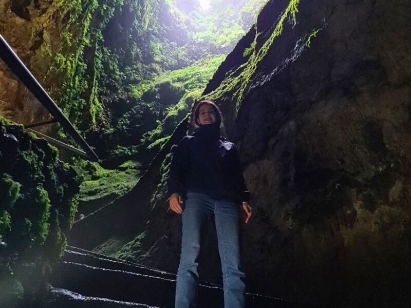 Ilha Terceira: Conheça os Vulcões e o Parque Natural - Exploring Ilha Terceira: A Deep Dive into Volcanoes and Nature