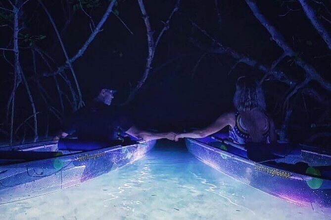 Illuminated Clear Kayak LED Glow Nights Paddle - Who Should Consider This Tour?