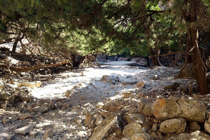 Imbros Gorge Adventure Day Trip from Chania - Authentic Experiences and Practical Tips