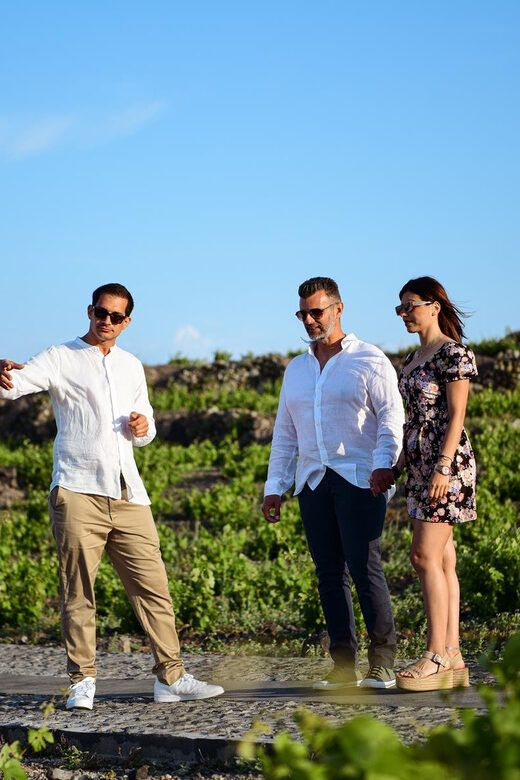 Imerovigli: Premium Wine Tasting with Caldera and Sea Views - Service and Atmosphere